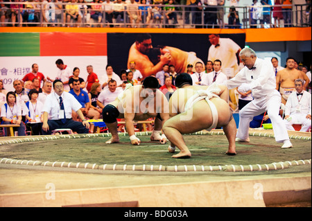 Sumo Wrestling, World Games, Kaohsiung, Taiwan, July 18, 2009 Stock ...