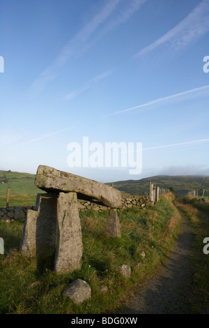 Legananny dolmen portal tomb ancient historic monument county down ...