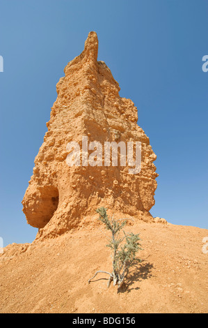 Vingerklip' finger cliff in the evening light near the Vingerklip Lodge ...
