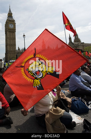 Flag of Tamil Eelam Stock Photo - Alamy