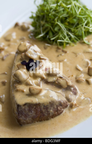 creamy mushroom sauce with beef meat Stock Photo - Alamy