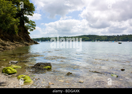 On The Riverside beach at Durgan, Cornwall, England, UK Stock Photo - Alamy