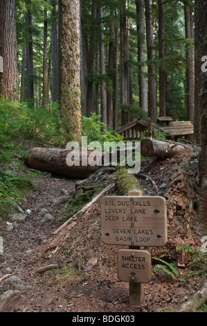 Sol Duc Falls, Lovers Lane, Deer Lake and the Seven Basin loop ...
