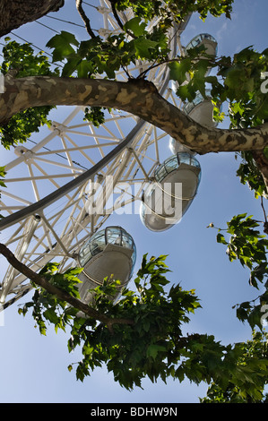 Summer, British Airways London Eye or Millennium Observation Wheel ...