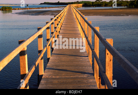 Urunga Boardwalk to the ocean in Australia Stock Photo - Alamy
