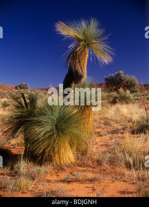 Outback prairie of Australia Stock Photo - Alamy