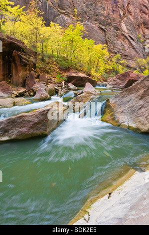 Cascades and Fall Color In The Virgin River Narrows, Zion National Park ...