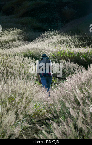 Hike in Chile Stock Photo - Alamy