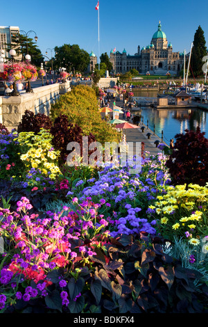 Canada, British Columbia, Victoria, Coast Harbourside Ferry Stop Stock ...