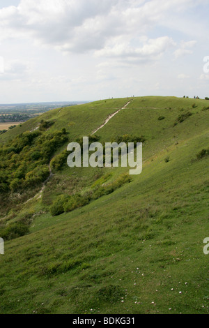 Dunstable Downs, A Chalk Escarpment in the Chilterns, Bedfordshire, UK ...