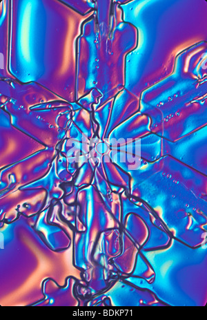 photomicrograph of a snowflake Stock Photo - Alamy