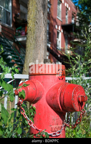An urban roadside fire hydrant in the town of Parksville, British ...