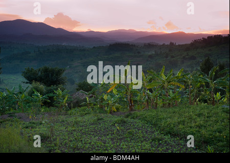 Rwanda, Butare, landscape Stock Photo - Alamy