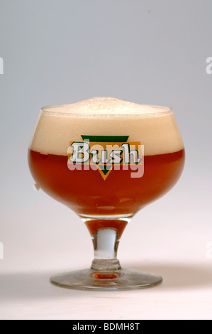 Beer in a bush Stock Photo - Alamy