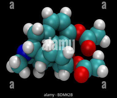 computer-generated space filling model of DNA shown in axial view Stock ...