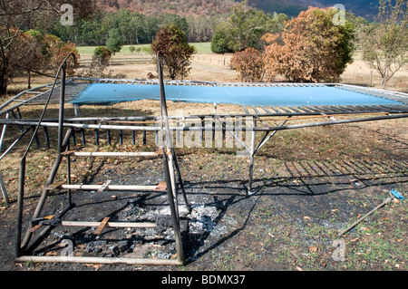 Devastation after bushfires Stock Photo - Alamy