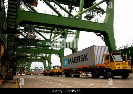 Port of Singapore Authority PSA container cranes stacking the thousands ...