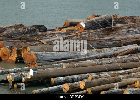 Log booms floating on the Fraser River, Vancouver, British Columbia ...