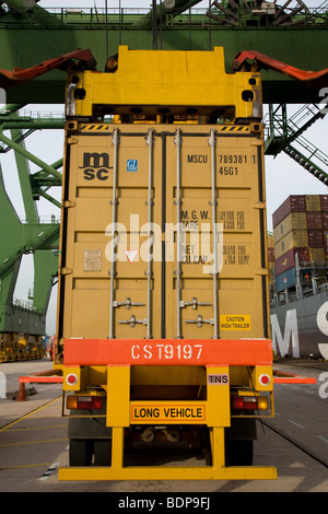MSC Container box crane lift lifting psa movement Stock Photo - Alamy