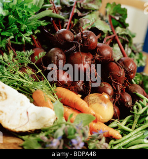 A close-up of root vegetables Sweden Stock Photo - Alamy