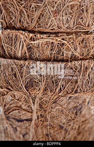 Coir plugs and pots Stock Photo - Alamy