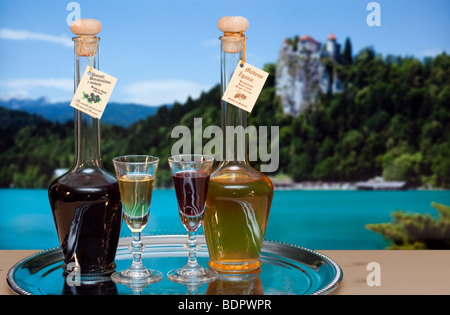 Two types of Slovenian schnapps: blueberry (borovnicevec) and apricot ...