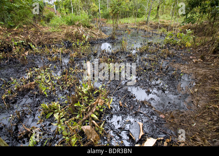 Oil spill in the Amazon rainforest, Ecuador, contained by a dyke Stock ...