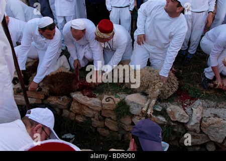 Samaria, the Samaritan Passover sacrifice on Mount Gerizim Stock Photo ...