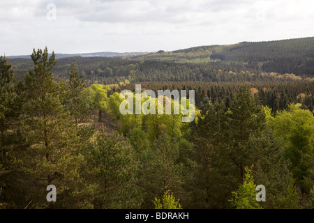 New Fancy Viewpoint Forest of Dean Gloucestershire England UK Stock ...