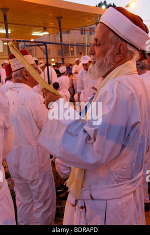 Samaria, the Samaritan Passover sacrifice on Mount Gerizim Stock Photo ...