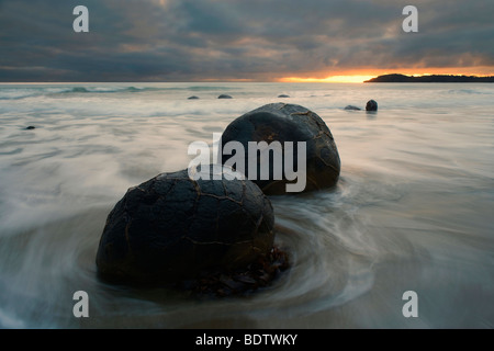Moeraki Boulders, massive spherical rocks at dawn surrounded by water ...