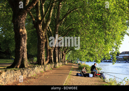 Fishing on the River Thames at Kingston-upon-Thames Stock Photo - Alamy