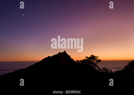 A crescent moon hangs over a California oak high 3200 feet above ...