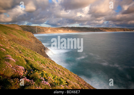 ligger point looking towards penhale sands; cornwall Stock Photo - Alamy