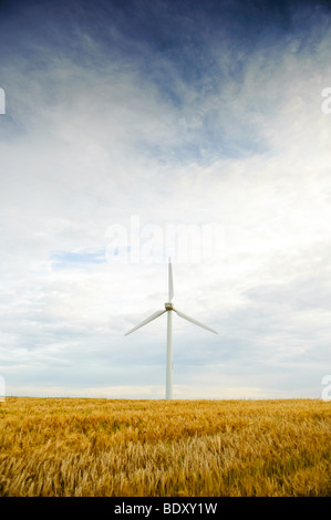 Wind farm Anglesey Wales UK Stock Photo - Alamy