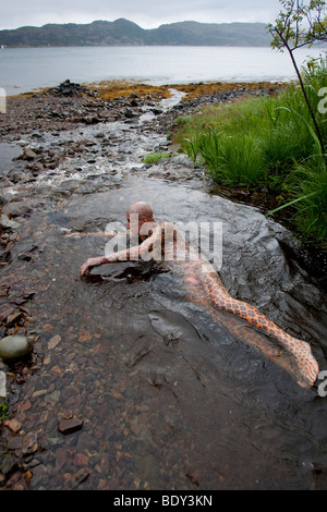 Tom Leppard the Worlds Most tattooed man October 1994 Stock Photo - Alamy