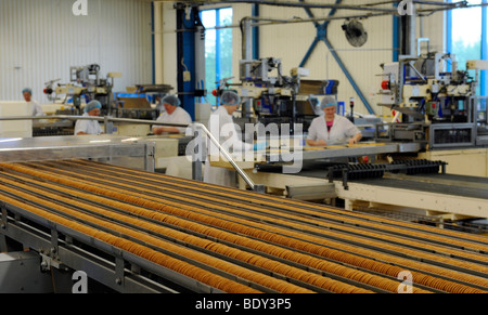 Production line with biscuits and factory workers Stock Photo - Alamy