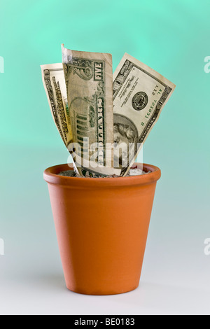 Pot Plant with Dollar Notes Stock Photo - Alamy