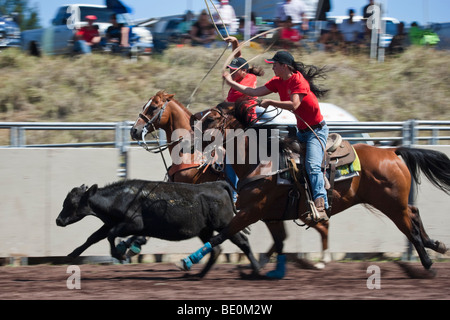 Women compete in team roping event in Hawaii Stock Photo - Alamy