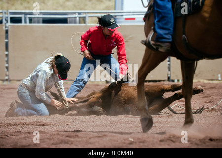 Women team roping a calf at rodeo Stock Photo - Alamy