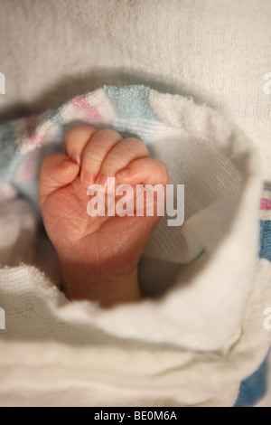 Newborn baby's hand Stock Photo - Alamy
