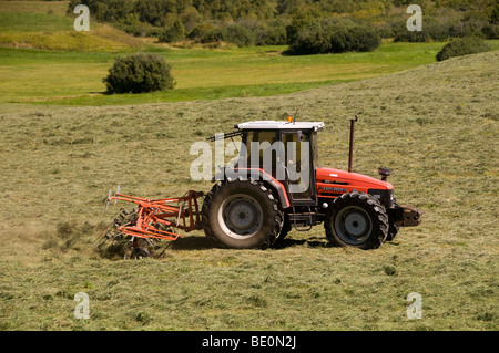 Haymaking : A tractor tedding a freshly cut meadow Stock Photo - Alamy
