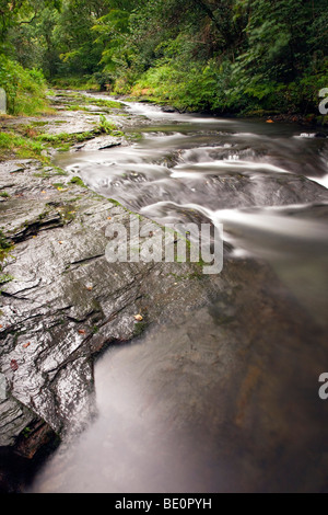 river valency; near boscastle; cornwall Stock Photo - Alamy