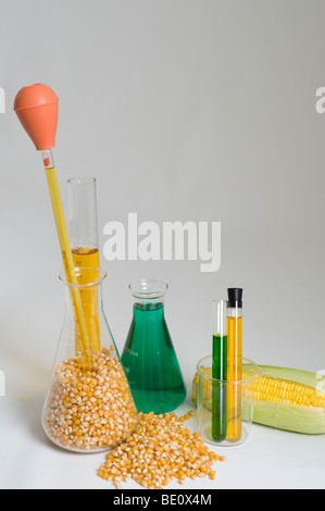 Bio fuel concept with corn and chemicals Stock Photo - Alamy