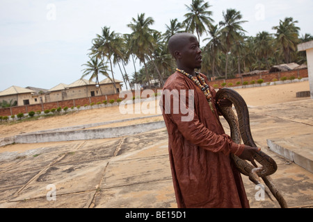 A man carries a royal python in Ouidah, Benin. In this historic town ...
