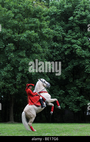 Woman in costume from XVII century on her horse during baroque horse ...