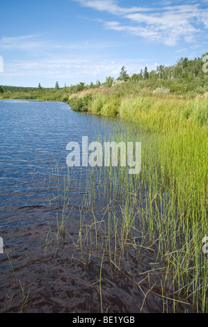 Poplar River in Boundary Waters, Minnesota Stock Photo - Alamy