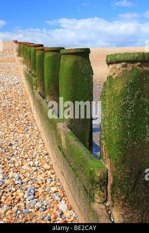 The shingle beach & groynes of Eastbourne beach in Eastbourne East ...