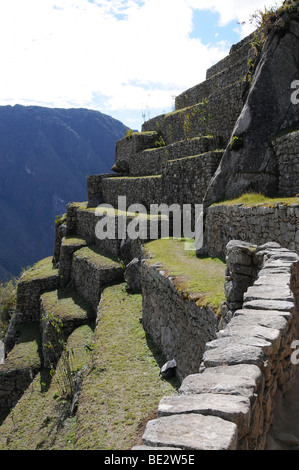 Farming terraces of Machu Picchu Stock Photo - Alamy