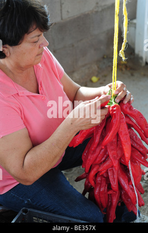 New Mexico, Hatch, Chiles Ristras And Drying Stock Photo - Alamy